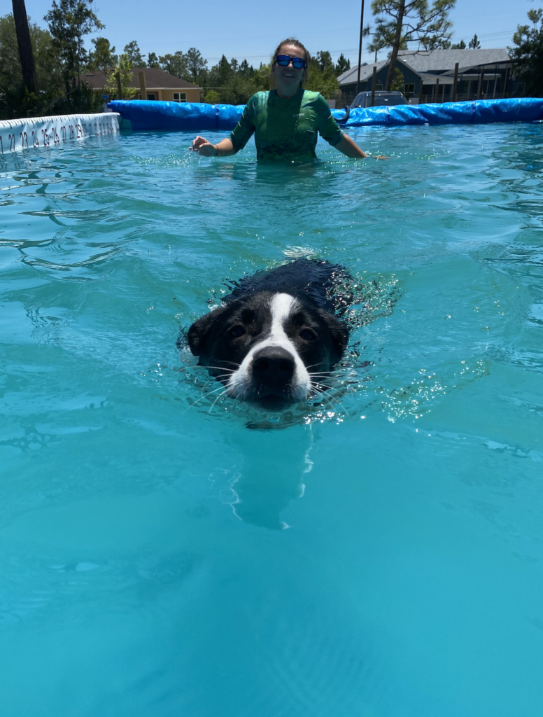 Pups ‘N’ Pools: Safety tips for your swimming canine. | beyondtheleash.dog